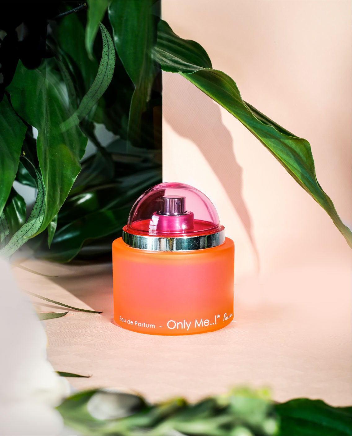 only me passion - SPPC